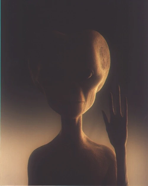 Fascinating image of an alien! | Weird Community Wiki | Fandom