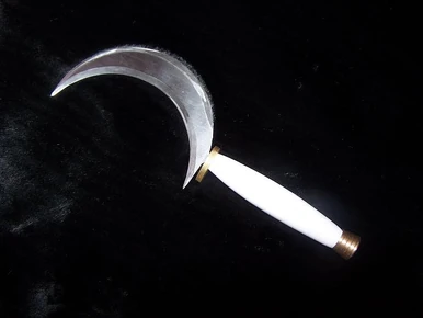 Boline | Weird Community Wiki | Fandom