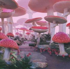 Level 1.2 | Weirdcore Wiki | Fandom