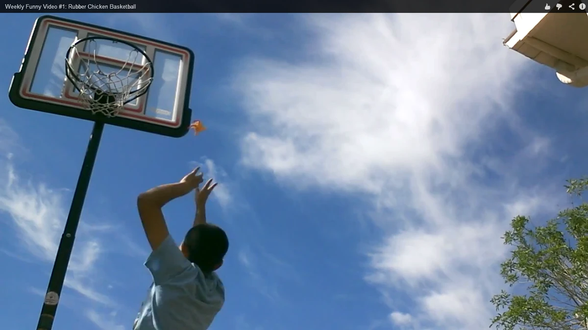 Rubber Chicken Basketball | WeirdoSuper Wiki | Fandom