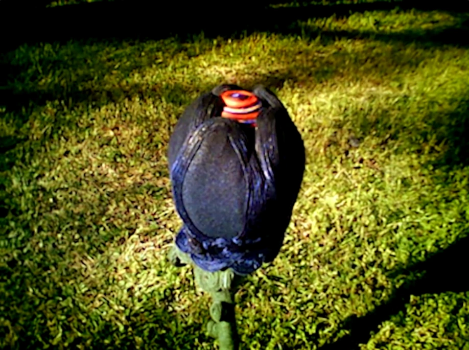 ARG Elements | Welcome Home Wiki | Fandom