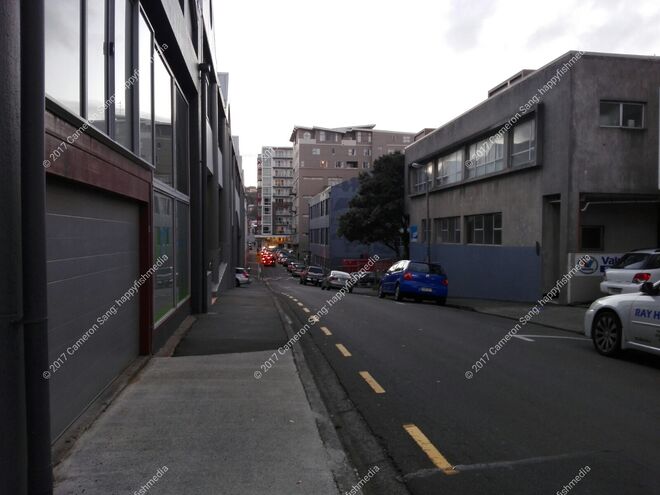 Category:Haining Street | Wellington Chinese History Wiki | Fandom