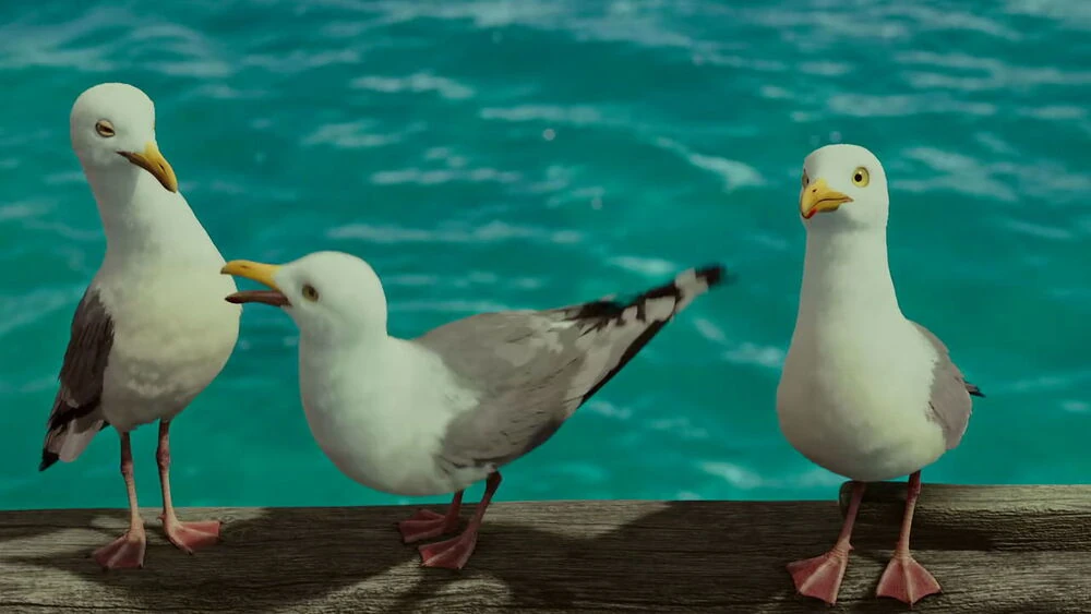 European Herring Gull | WeLoveAnimals Wiki | Fandom