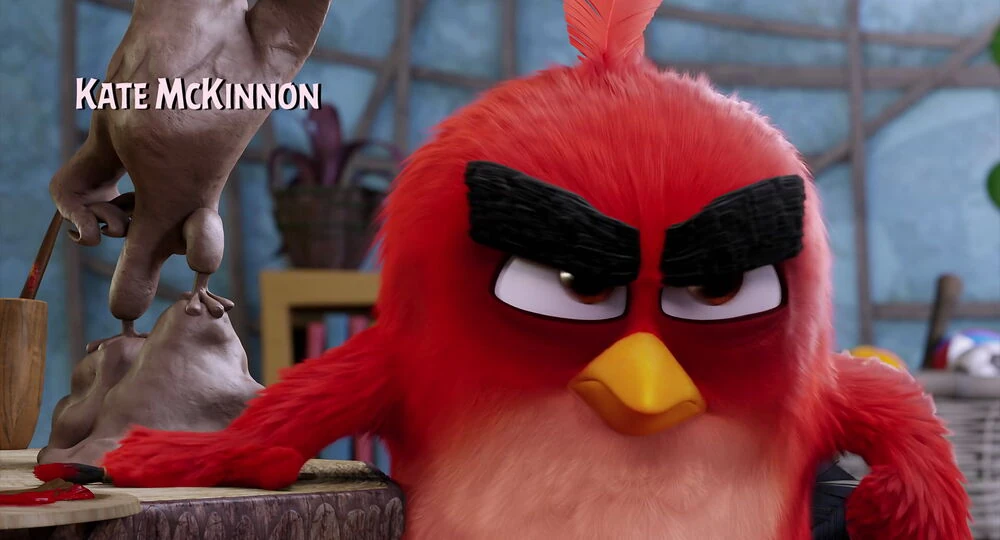 Northern Cardinal | WeLoveAnimals Wiki | Fandom