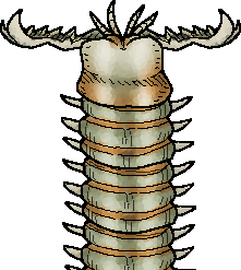 Bobbit Worm - Official We Need to go Deeper Wiki