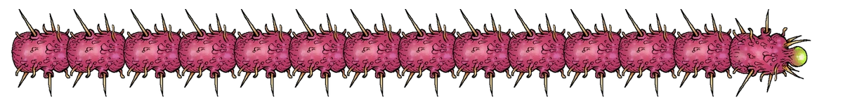 Spine Worm - Official We Need to go Deeper Wiki