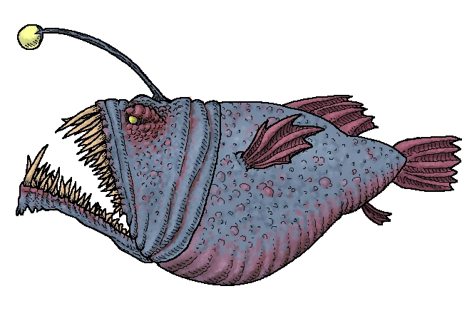 Angler Fish - Official We Need to go Deeper Wiki