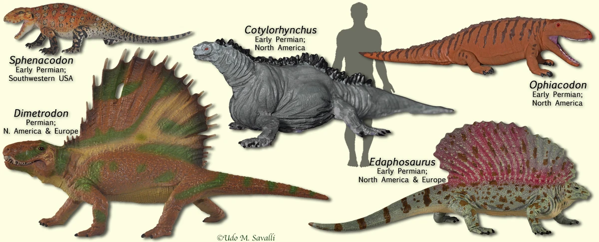 Category:Synapsid | We're Back A Dinosaur's Story Wiki | Fandom