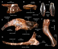 Hadrosaurus | We're Back A Dinosaur's Story Wiki | Fandom