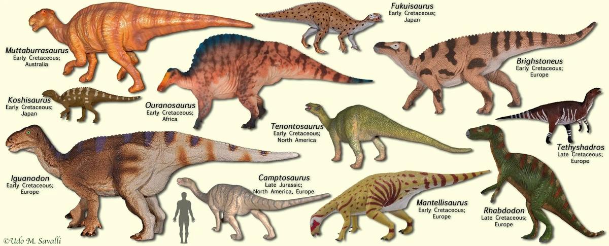 Category:Iguanodonts | We're Back A Dinosaur's Story Wiki | Fandom