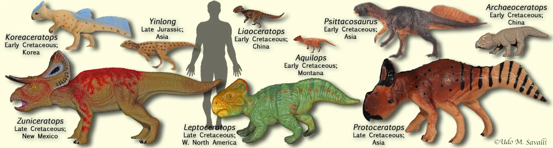 Category:Ceratopsians | We're Back A Dinosaur's Story Wiki | Fandom