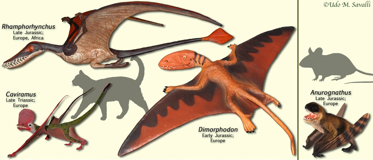 Category:Pterosaur | We're Back A Dinosaur's Story Wiki | Fandom