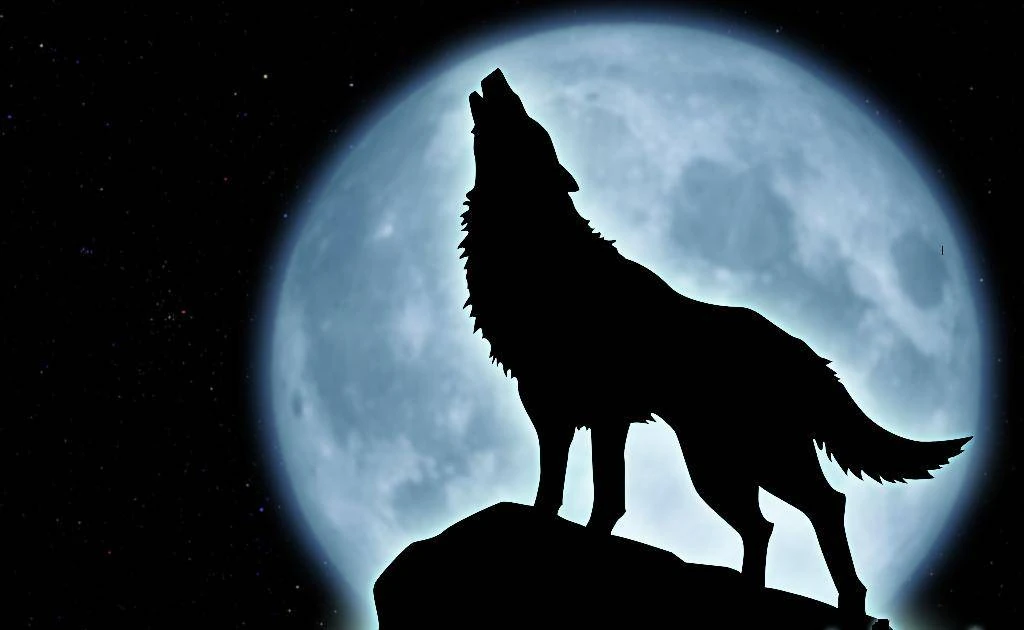 How to become a werebeast | Werebeasts Wikia | Fandom