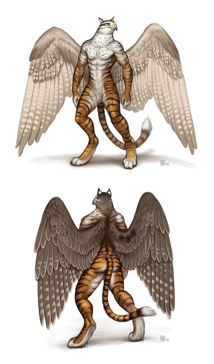 Weregryphon | Werecreature Wiki | Fandom