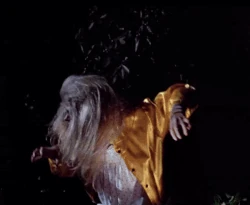 Miss Montgomery | WereWiki | Fandom