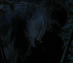 Will Blake | WereWiki | Fandom