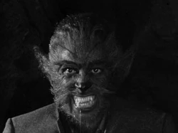 Duncan Marsh | WereWiki | Fandom