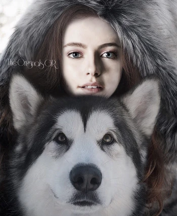 Season Four | The Werewolf Diaries Wiki | Fandom