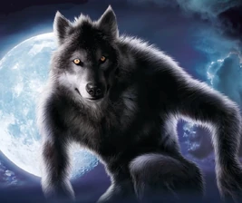 Drew Ferran | Wereworld Wiki | Fandom