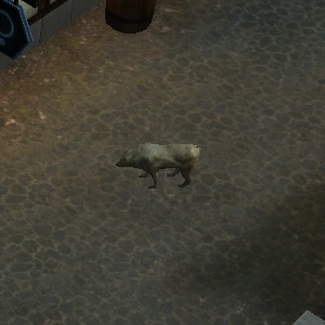 Dog | WERIDE Wiki | Fandom