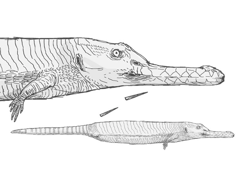 Hazeltan | West of Eden Wiki | Fandom