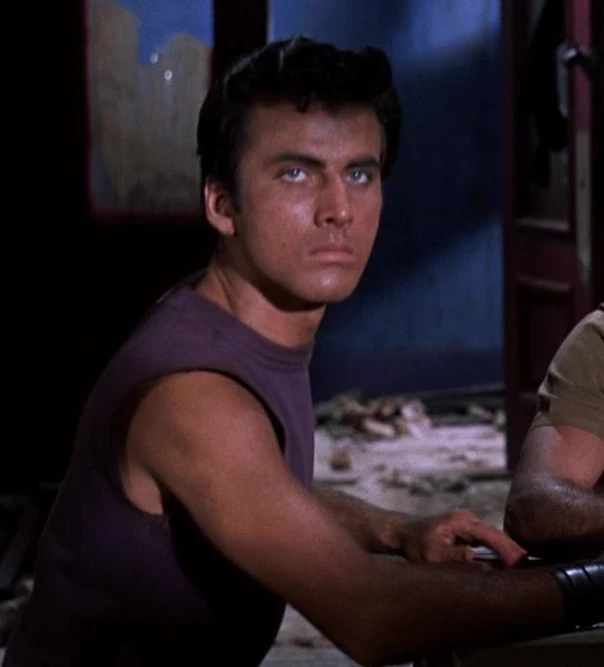 Toro | Wiki West Side Story | Fandom