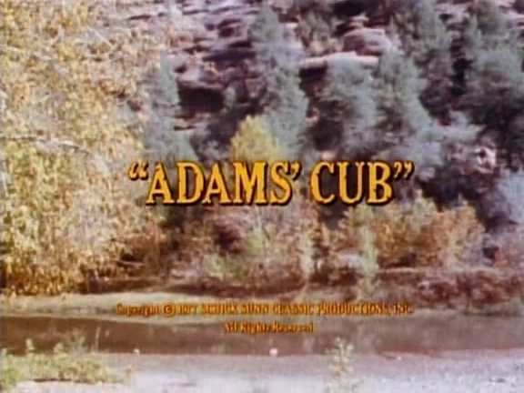 Adams' Cub | Western Series Wiki | Fandom