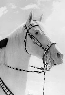 Silver | Western Series Wiki | Fandom