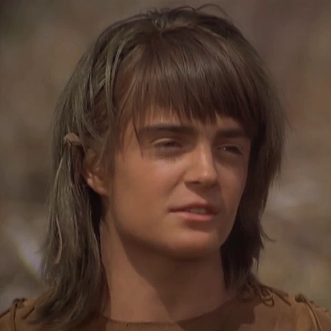 Vincent Roberts | Western Series Wiki | Fandom