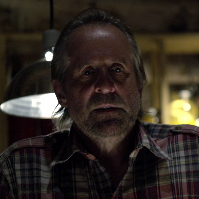 Peter Stormare | Western Series Wiki | Fandom