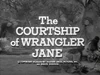 F Troop | Western Series Wiki | Fandom