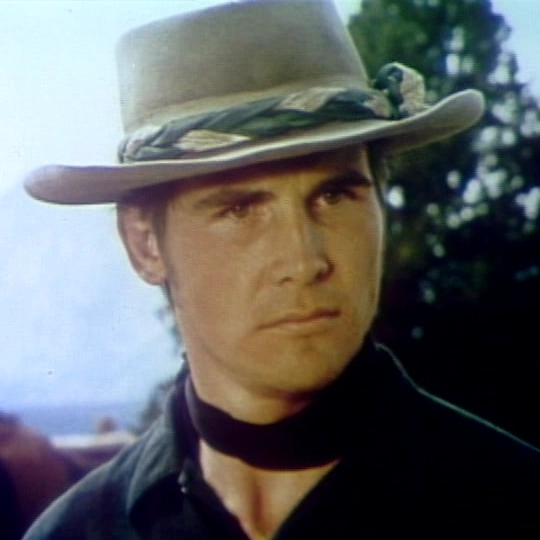 James Brolin | Western Series Wiki | Fandom