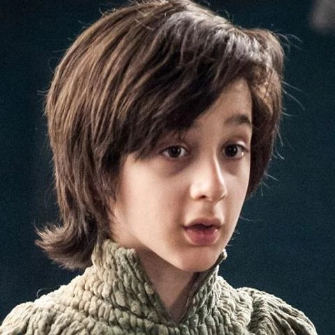Robert Arryn | Westeropedia wiki | Fandom