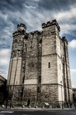 House Harlaw of Harlaw Hall | WesterosCraft Wiki | Fandom