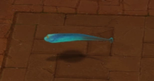 Chaser Fish | WestNos Wiki | Fandom