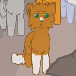 Foxleap Warrior Cats