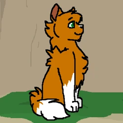 Foxleap Warrior Cats