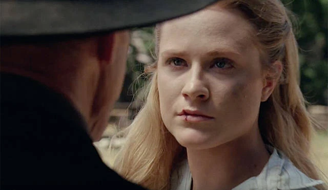 Die bikamerale Psyche | Westworld Wiki | Fandom
