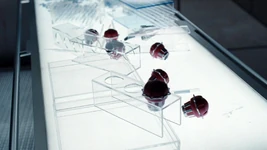 Control Unit | Westworld Wiki | Fandom