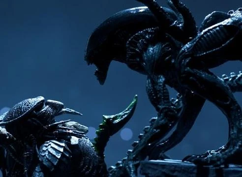 Alien Attacks Predator | Weyland-Yutani corporation Wiki | Fandom