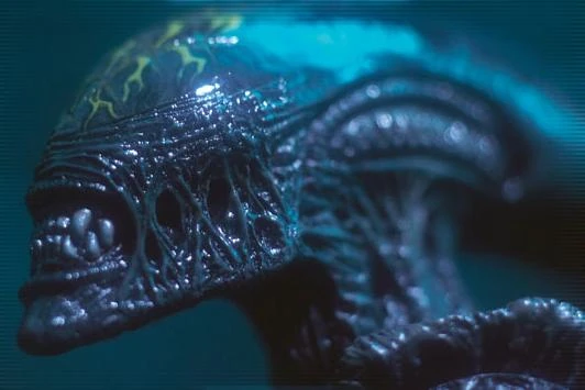 Grid Alien | Weyland-Yutani corporation Wiki | Fandom