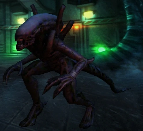 Drone Alien | Weyland-Yutani corporation Wiki | Fandom