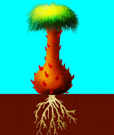 Ver'Urum | Weasel Forum Universe Wiki | Fandom