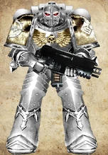 Gilded Knights | Warhammer 40,000 Homebrew Wiki | Fandom