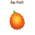 Gac Fruit | Whale Island Wiki | Fandom
