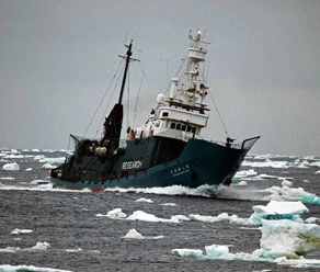 MV Shonan Maru nº 2 | Wiki Whale Wars | Fandom