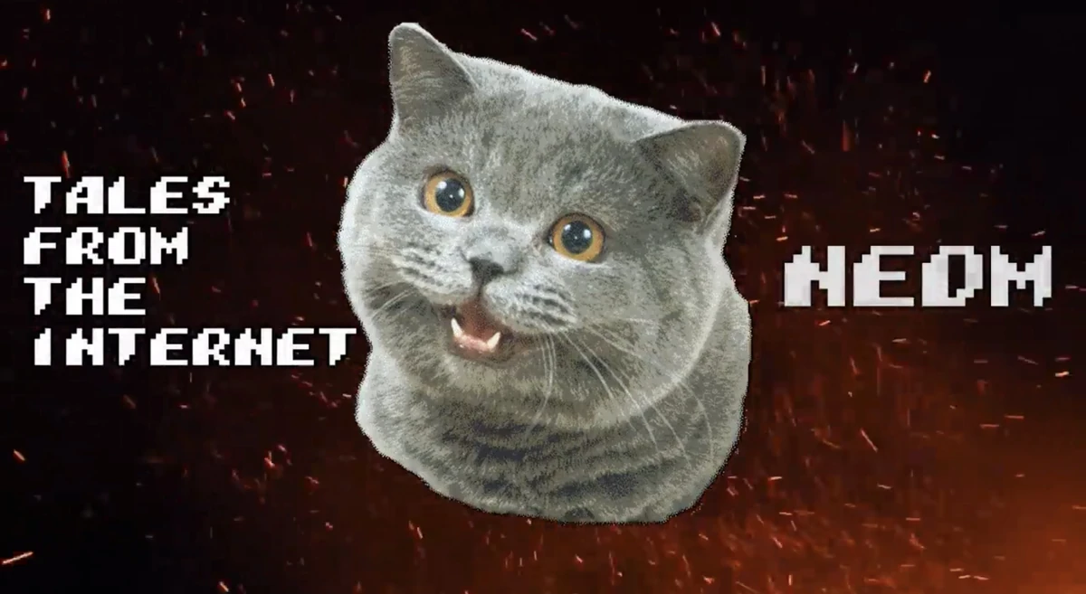 NEDM: how ogrish caught a cat killer | Whang-talesfromtheinternet Wiki ...