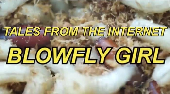 Blowfly girl: the full story | Whang-talesfromtheinternet Wiki | Fandom