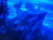 Lewis Finch | What Remains of Edith Finch Wiki | Fandom