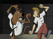 Lights! Camera! Mayhem! | What's New Scooby - Doo Wiki | Fandom